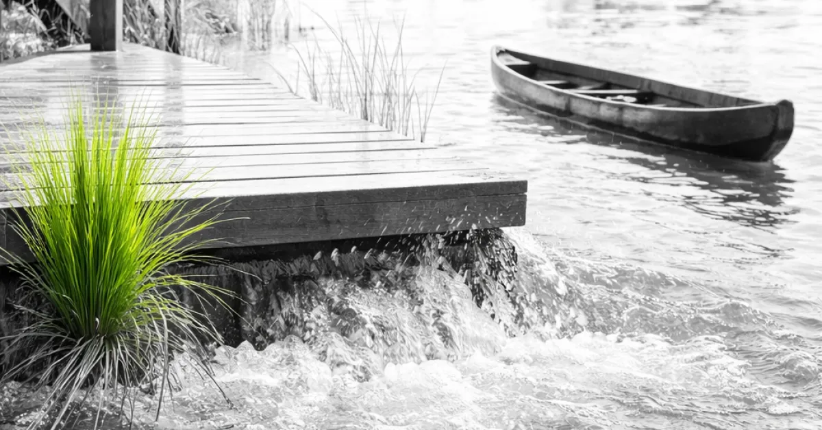 The Okavango's Once-in-Decades Flood: Why 2026 Is the Year to Visit